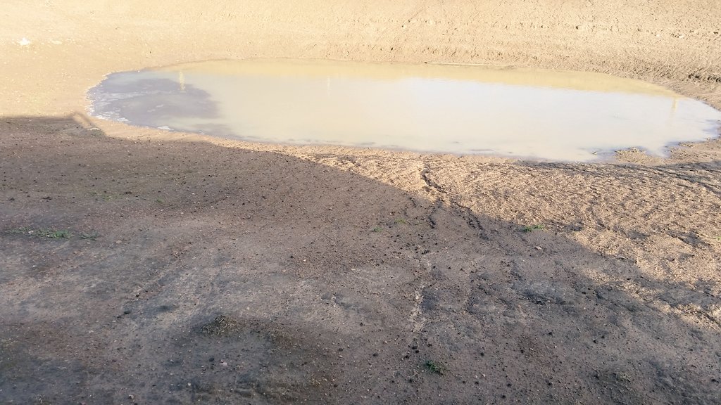 Empty dams start to fill in Victoria after weekend rains - ABC News