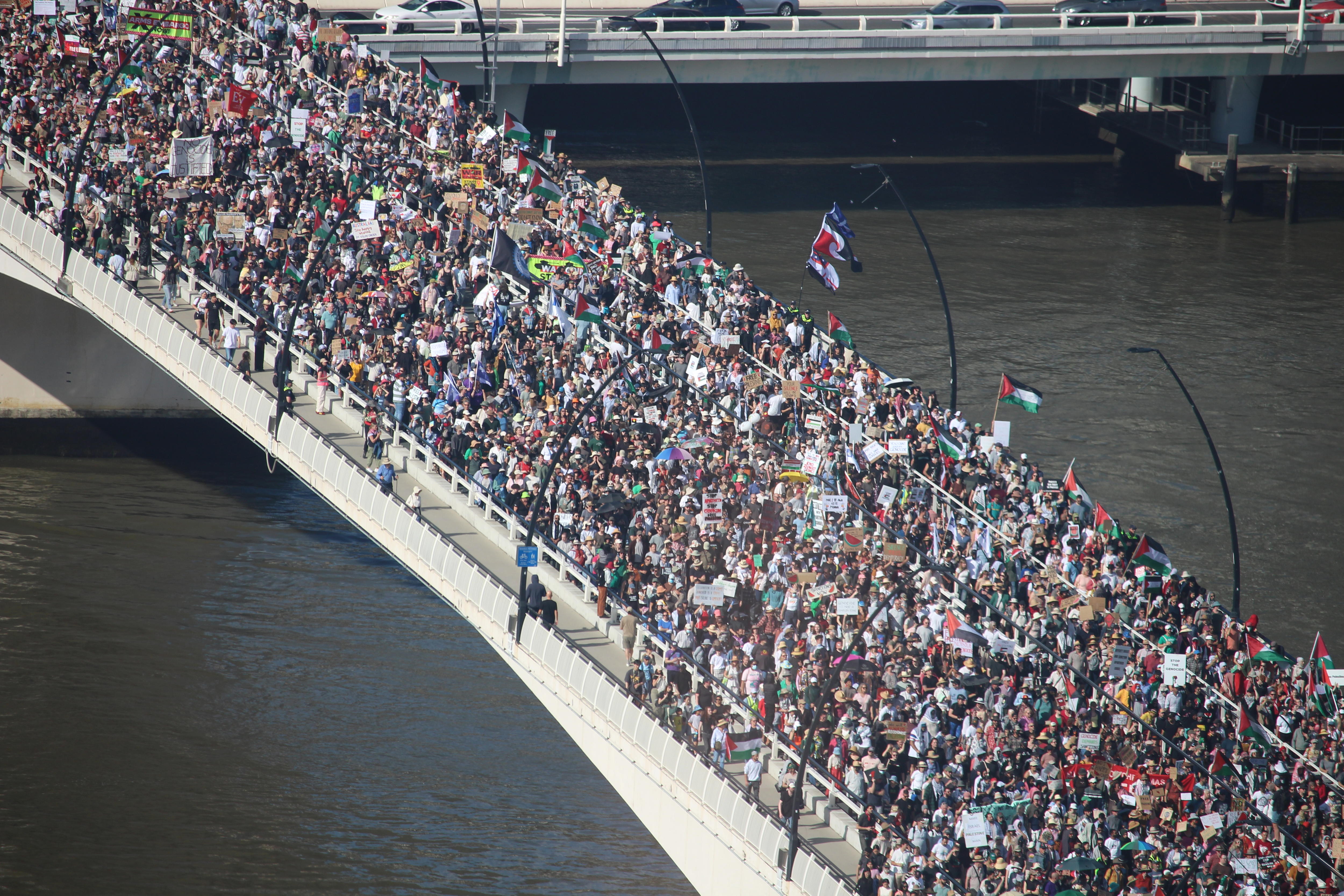 Analysts warn no end in sight to share market falls as millions watch ...