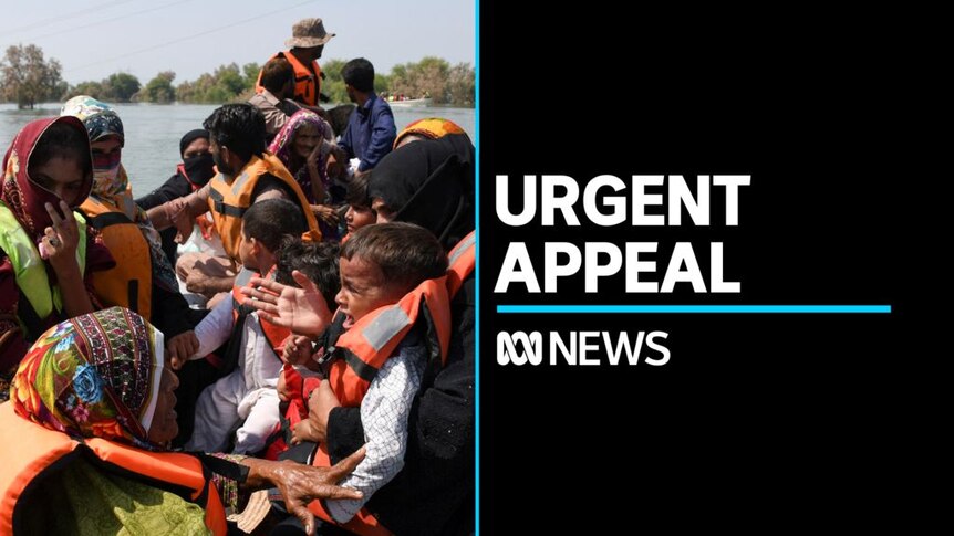 Urgent aid needed as Pakistan flood death toll climbs - ABC News Urgent aid needed as Pakistan flood death toll climbs - ABC News