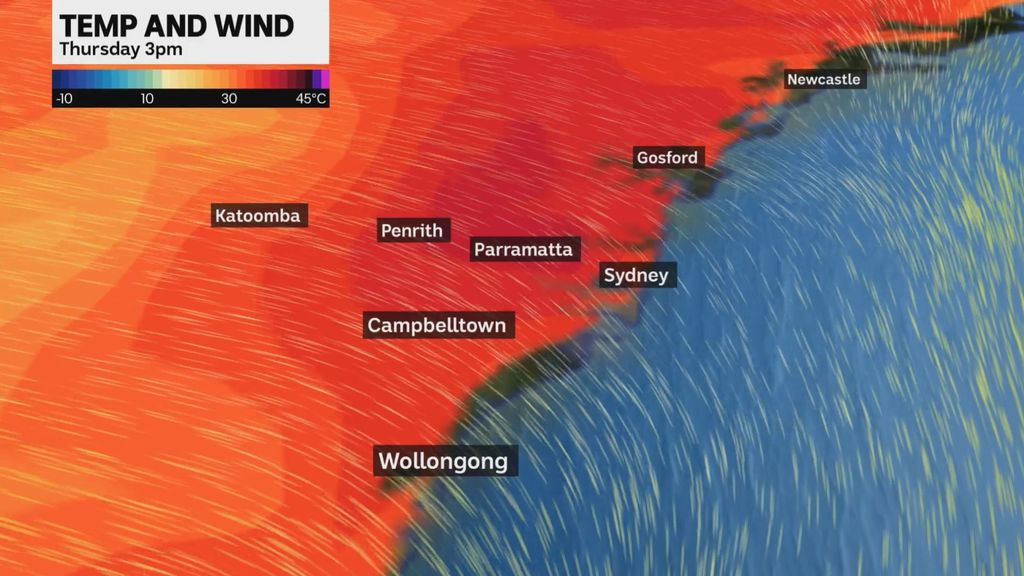 Heatwave warning continues for much of NSW this week - ABC News