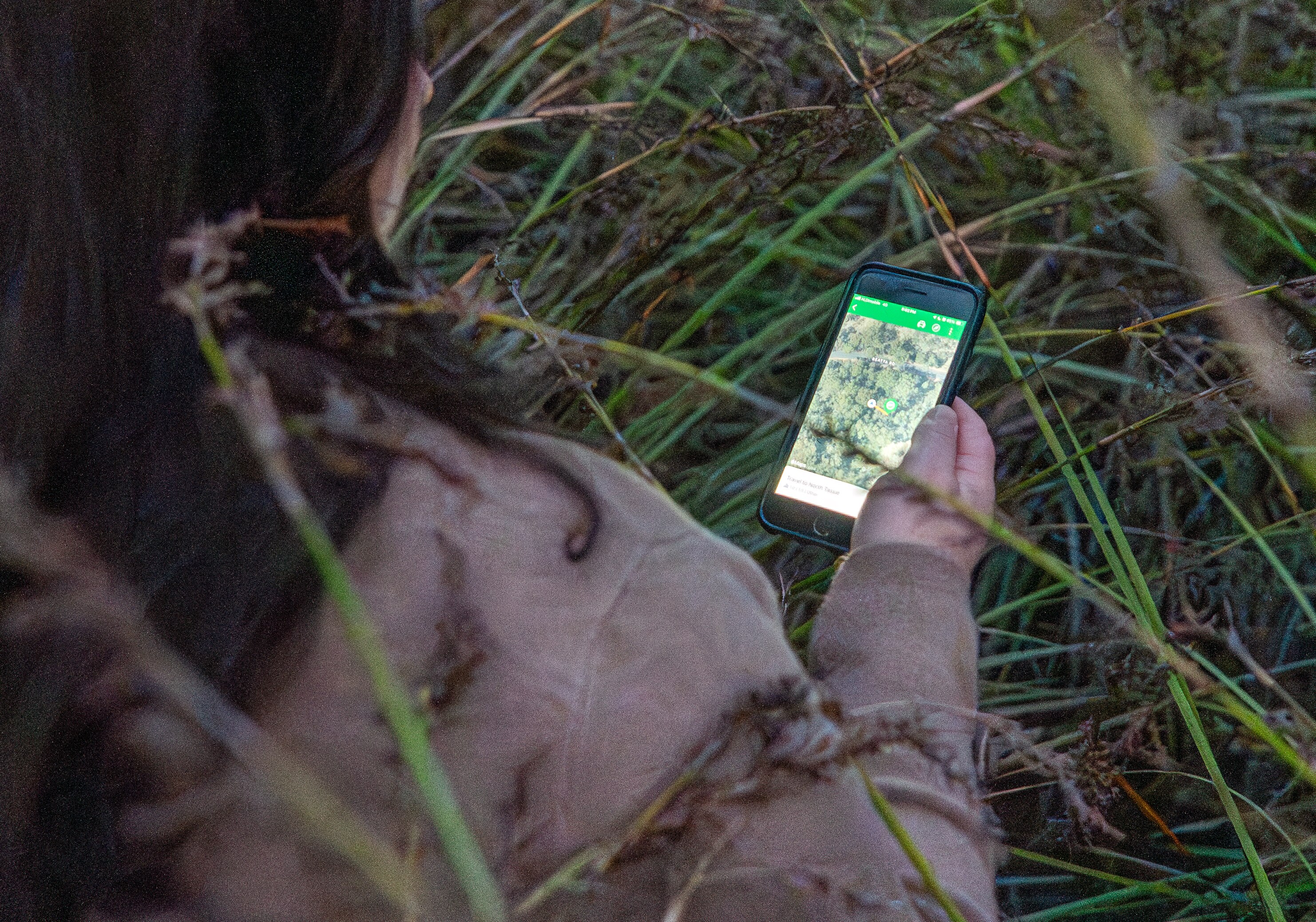Tasmania's oldest geocache sought by worldwide seekers armed with ...