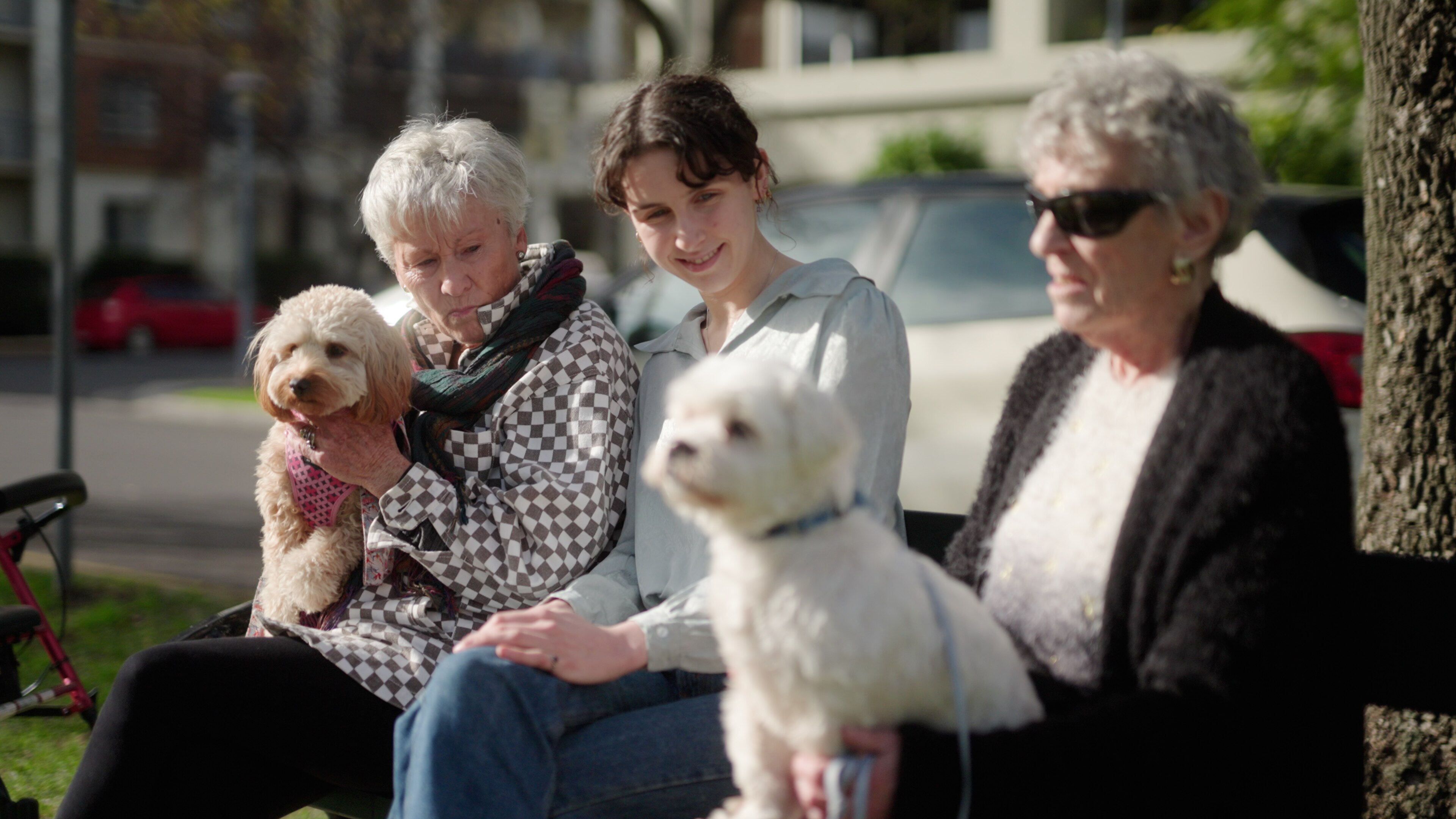 Pets helping people with acquired brain injuries - ABC listen
