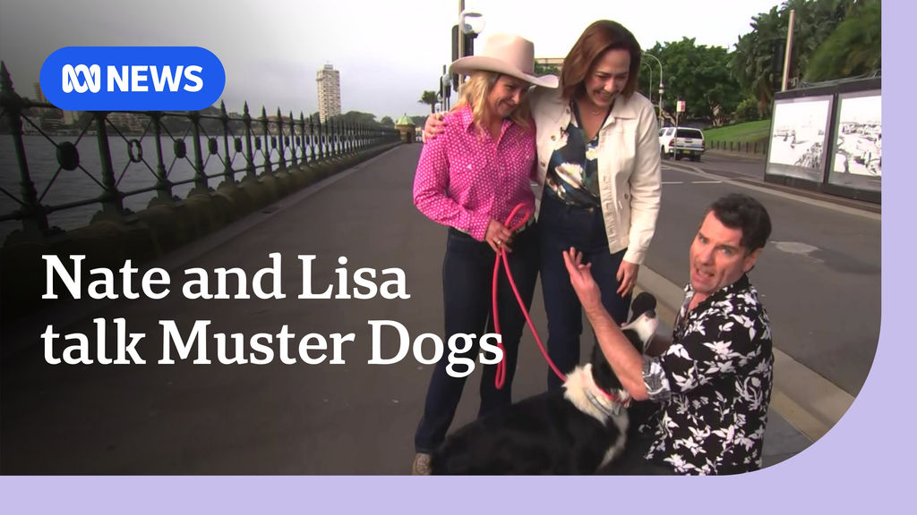 Nate and Lisa catch up with Cilla and Ash Barky from Muster Dogs - ABC News