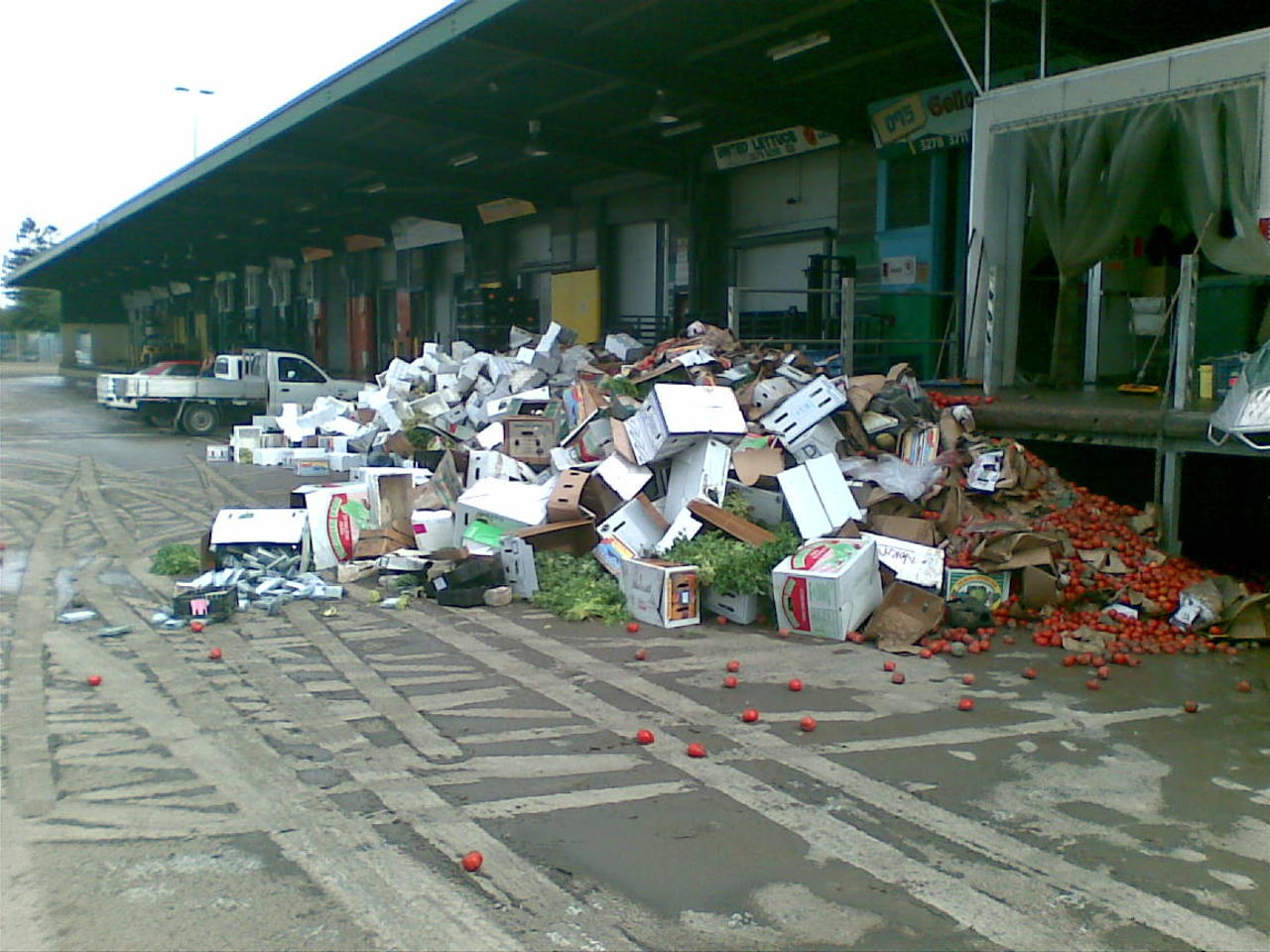 Ruth Archer - ABC News