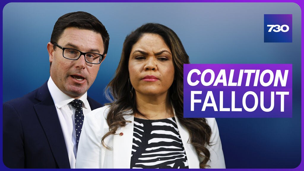 The Rise and Fall of Terrorgram - ABC News