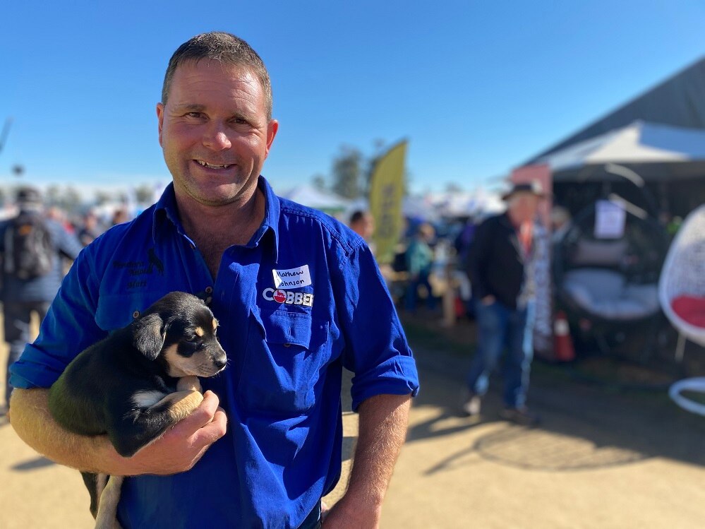 Tasmanian Country Hour - ABC listen