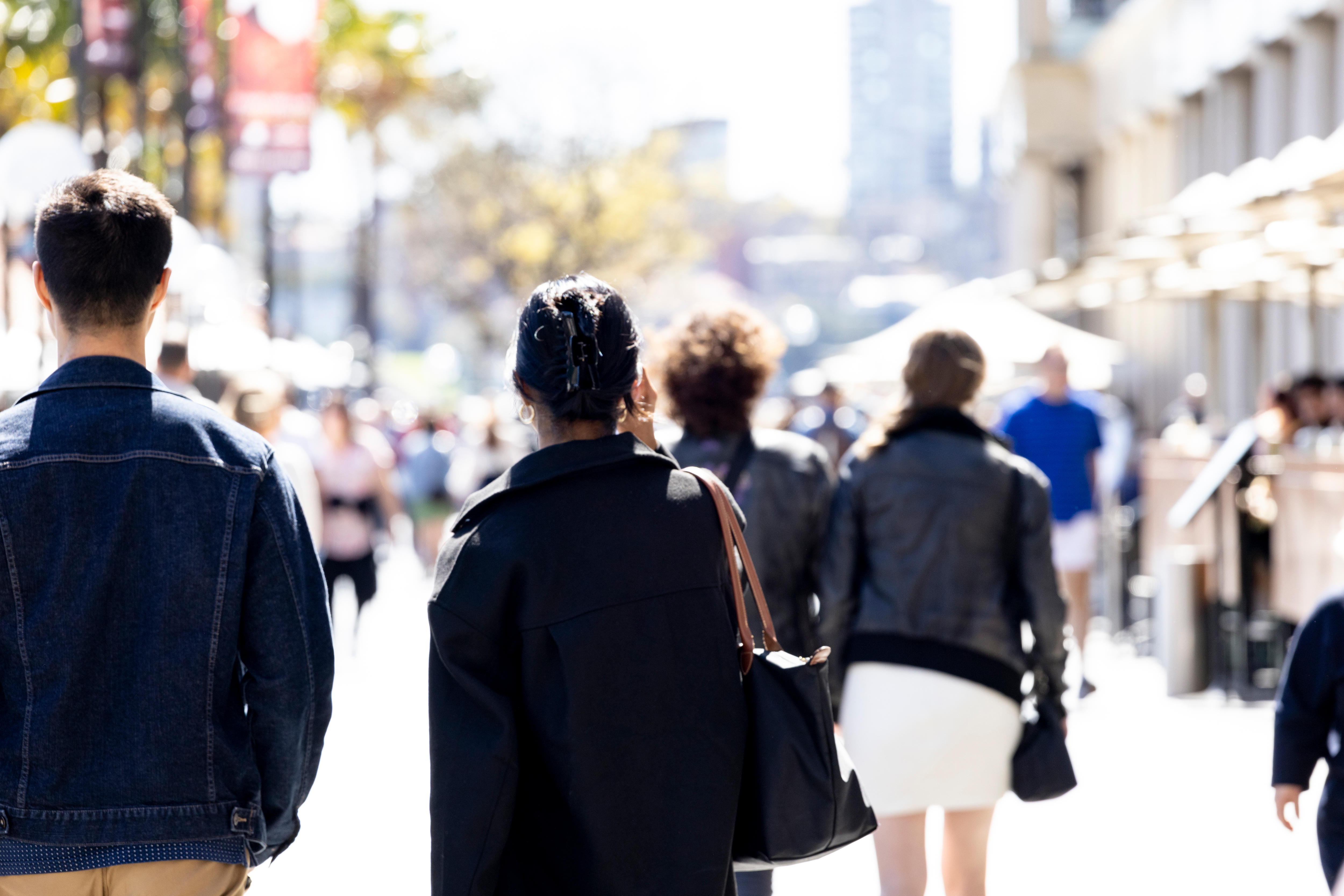 What is social cohesion, what cultivates it, and what undermines it ...