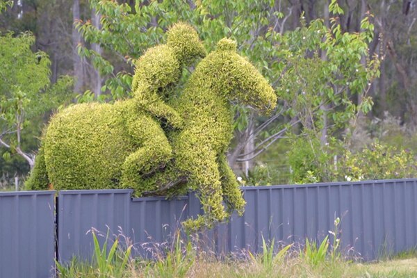 Topiary Town - Gardening Australia