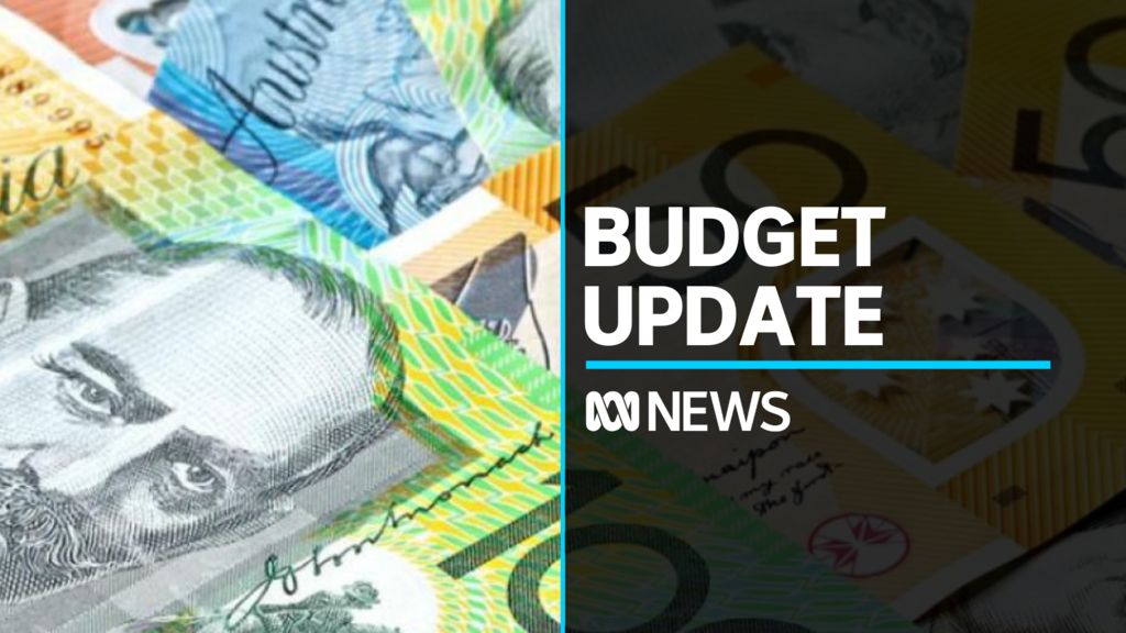 Federal government announced final budget update for the year - ABC News