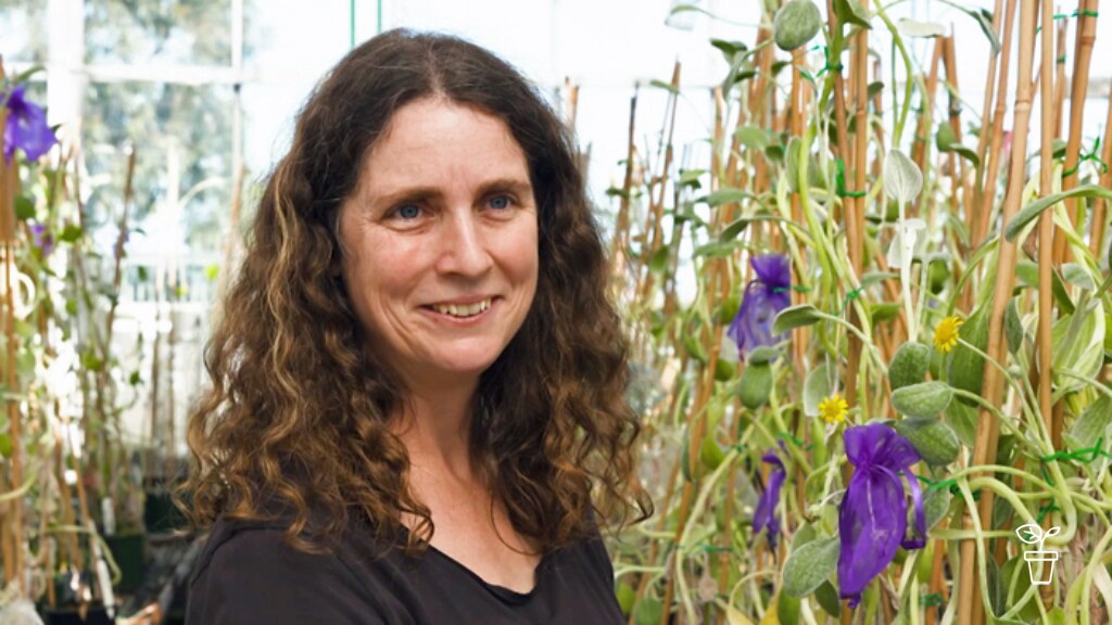 My Garden Path - Angela Moles - Gardening Australia