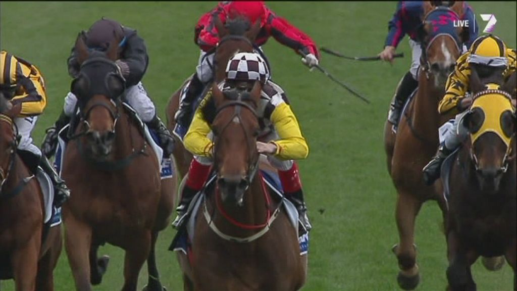 Grandstand Monday 28 October - ABC News