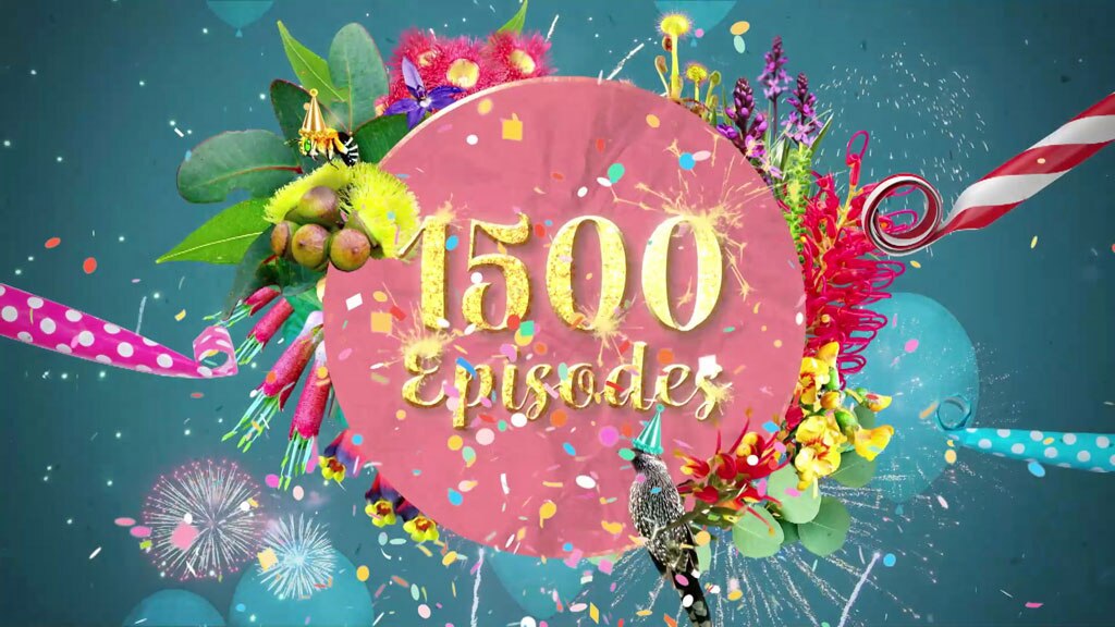 My Garden Path | Jane Edmanson - Gardening Australia