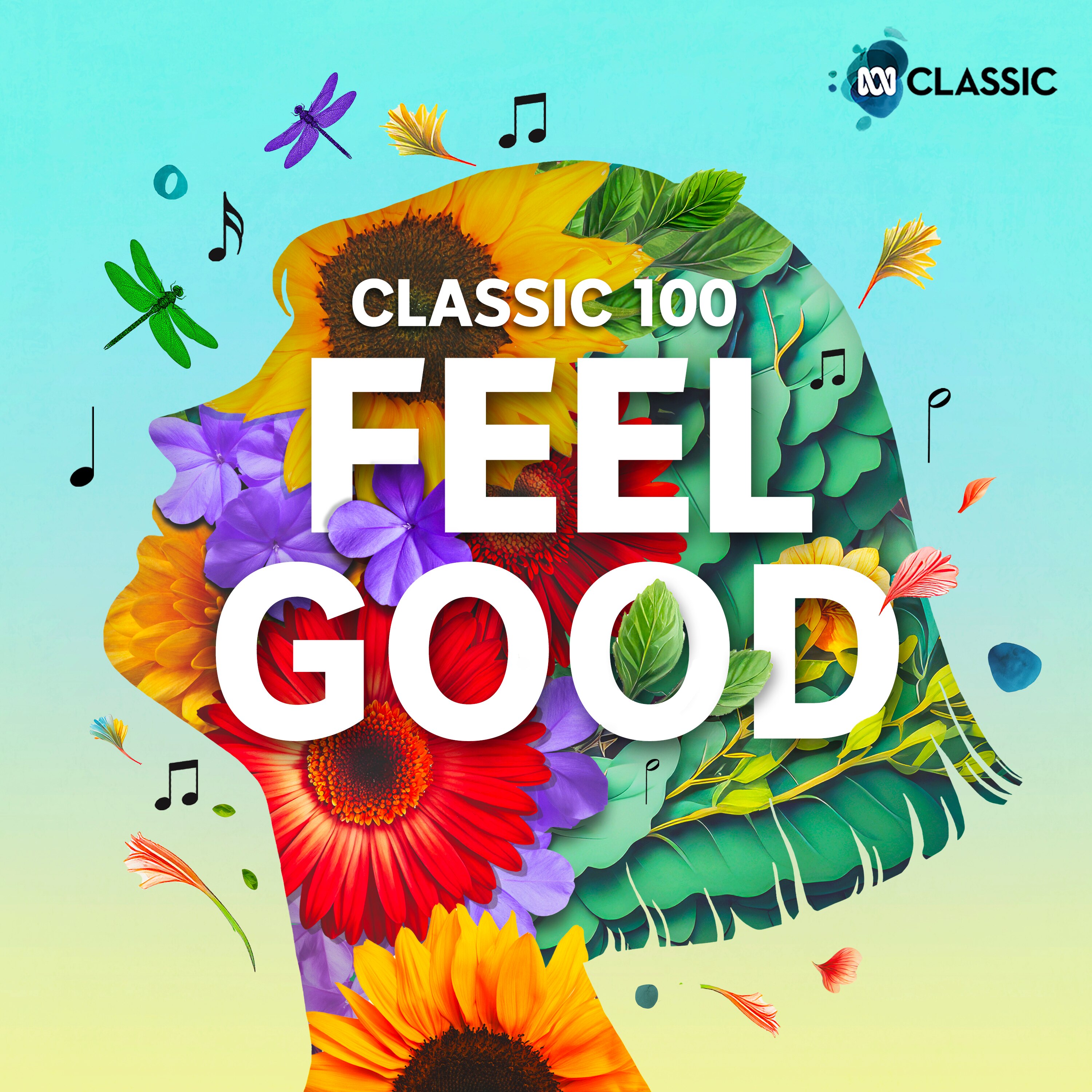 ABC Shop - ABC Commercial - ABC Shop