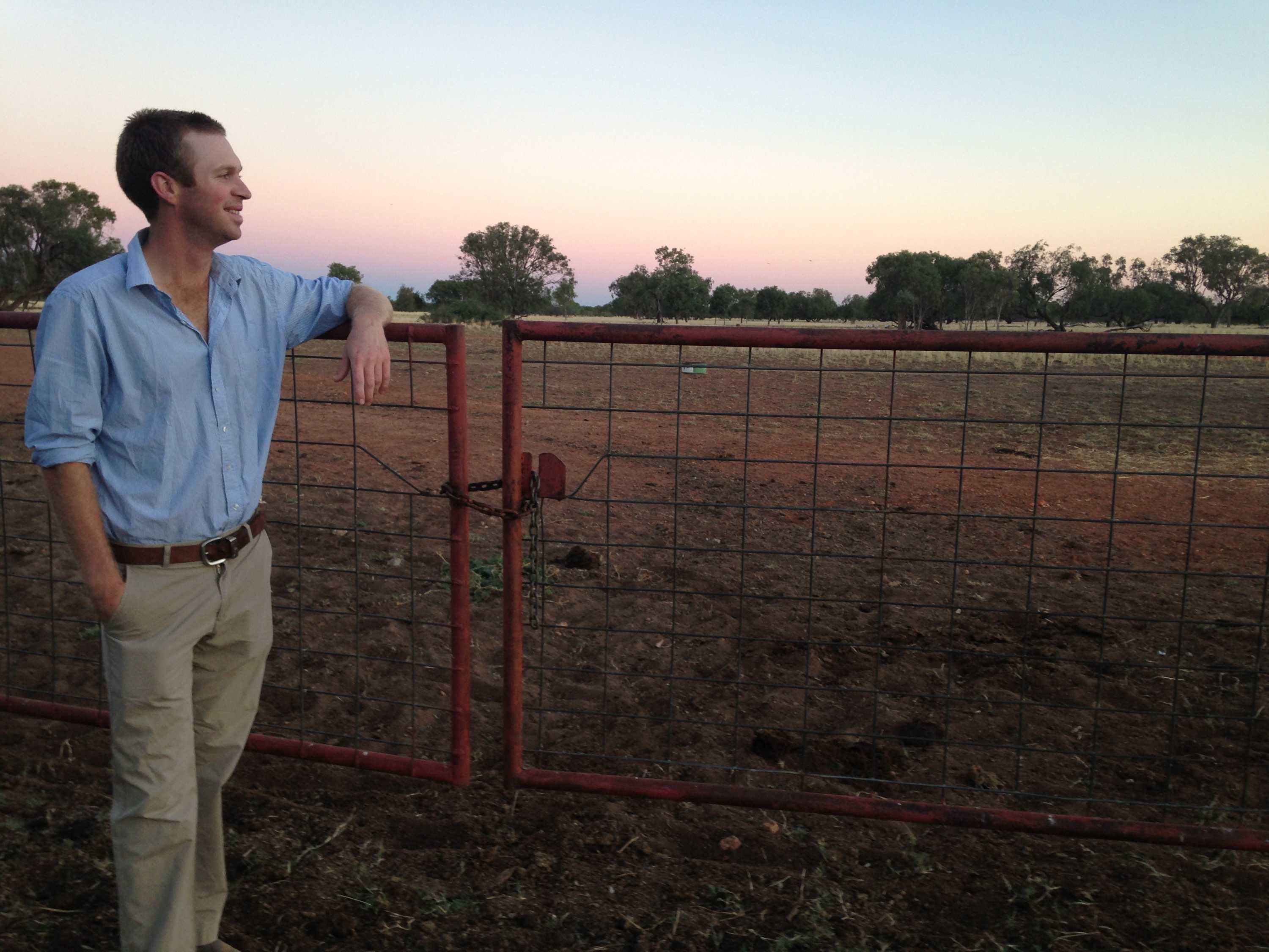 Sharing cattle industry tips across the Tasman - ABC News