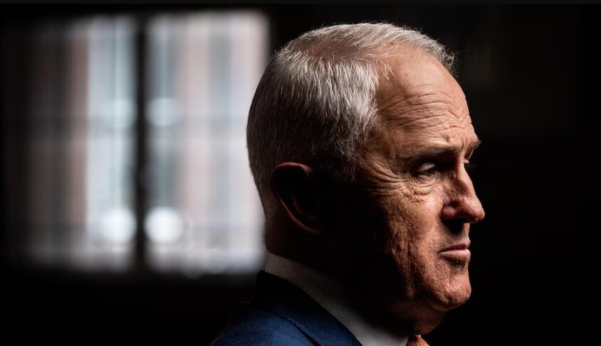 Failed senate candidate Raina Cruise given suspended sentence over ...