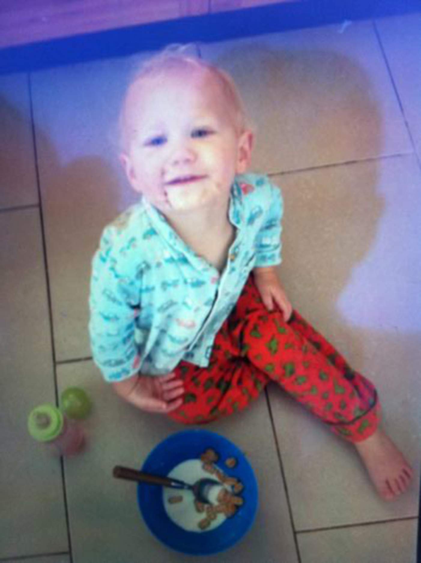 Missing toddler found alive in dense bushland - ABC News