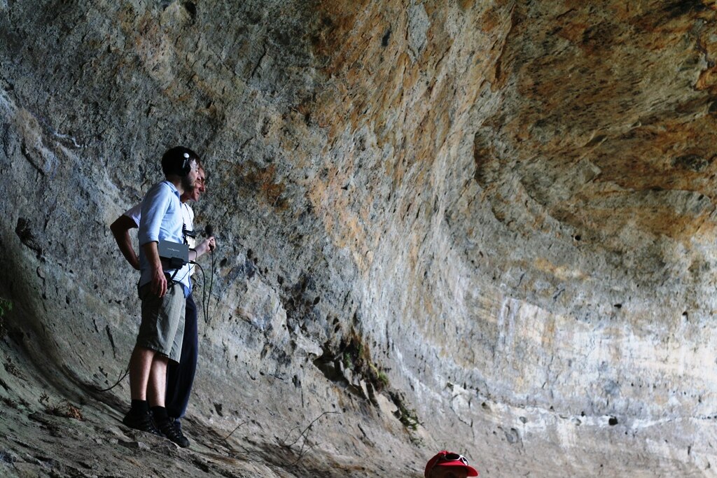 Celestial Chamber - ABC Radio National
