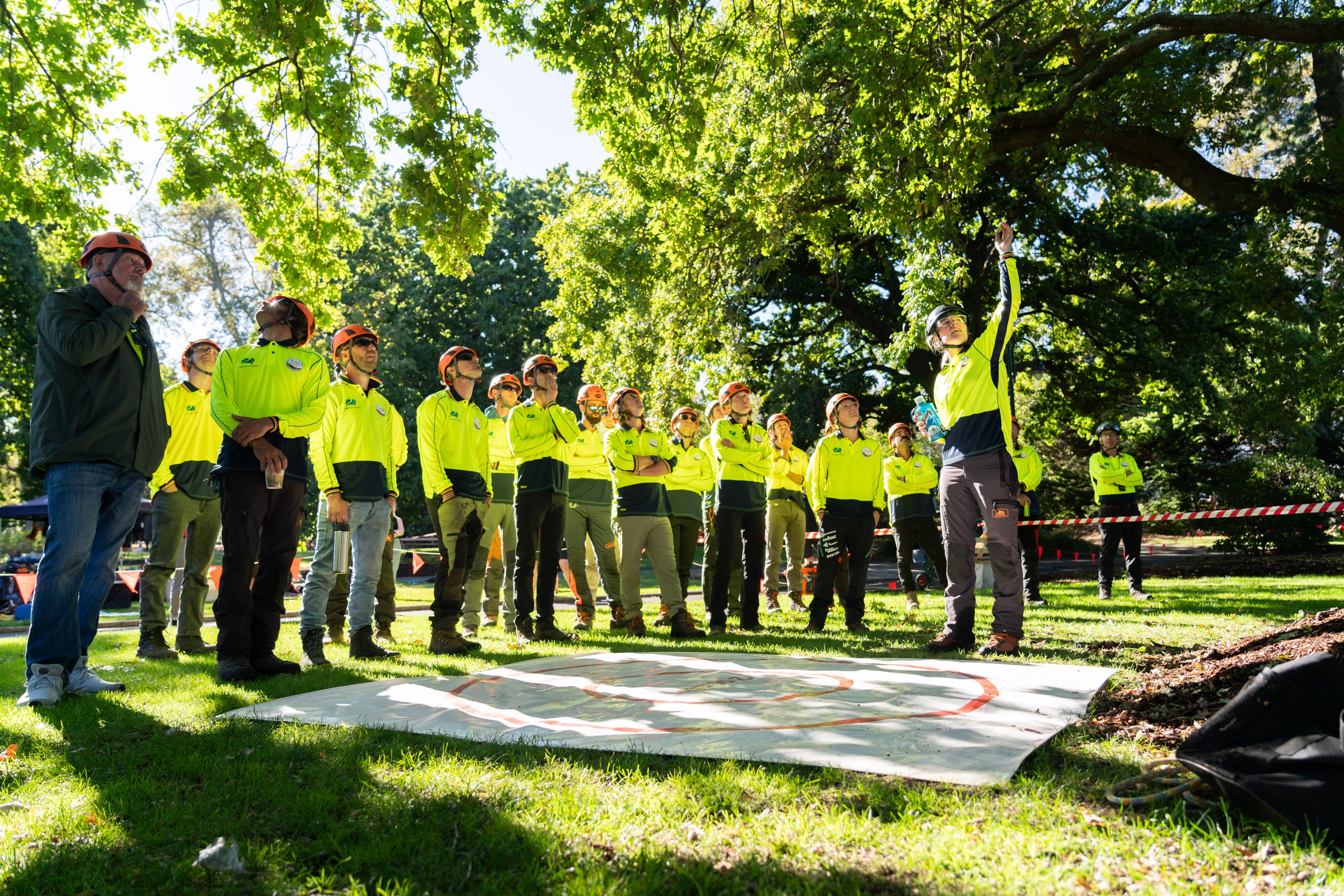 Tasmanian tree climbing championships draws arborists vying for state ...
