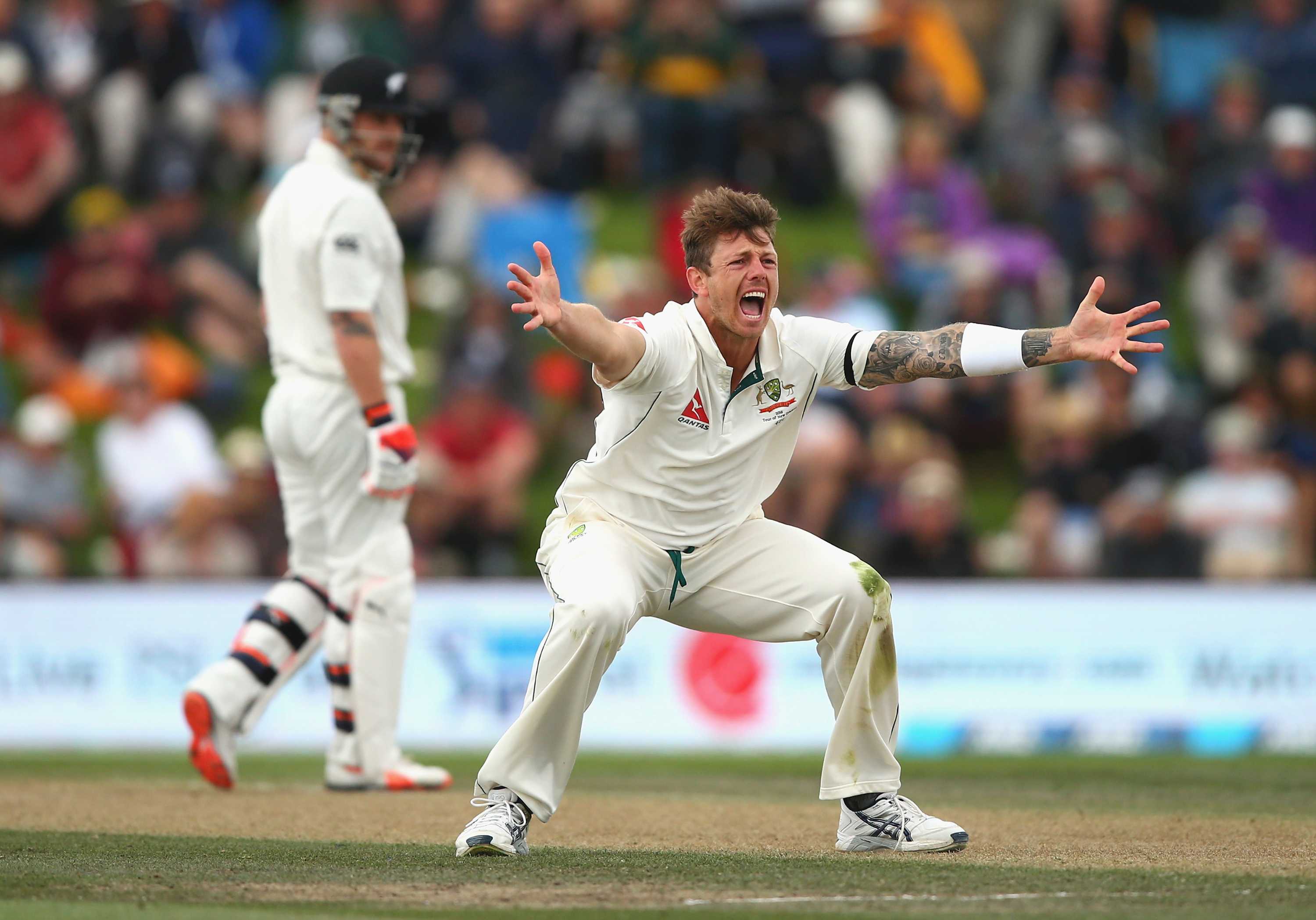 Adam Collins - ABC News