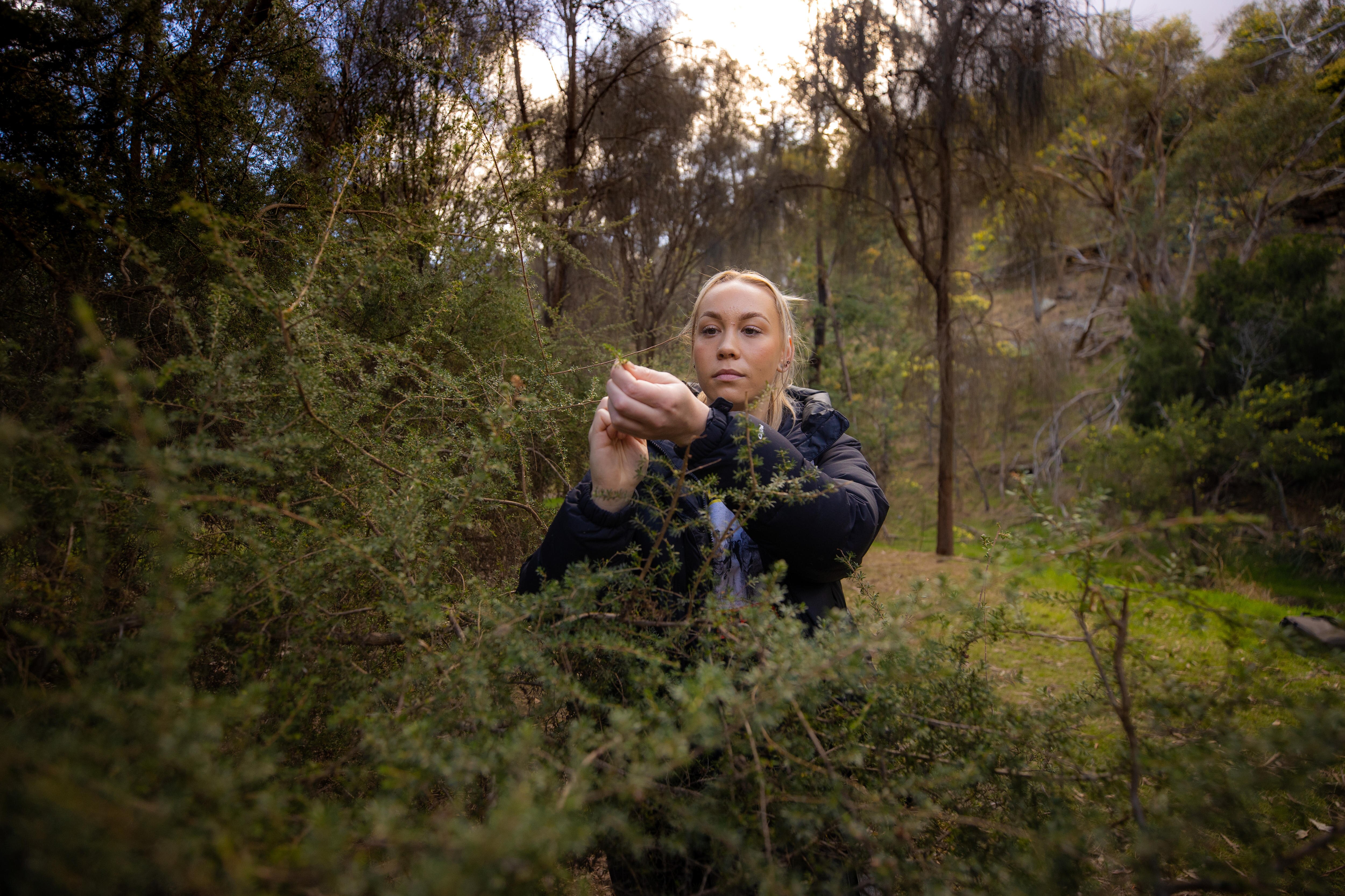 Voice to Parliament: Young First Nations voters have their say, and ...