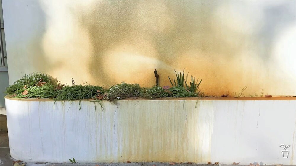 Bore Water Stains - Gardening Australia