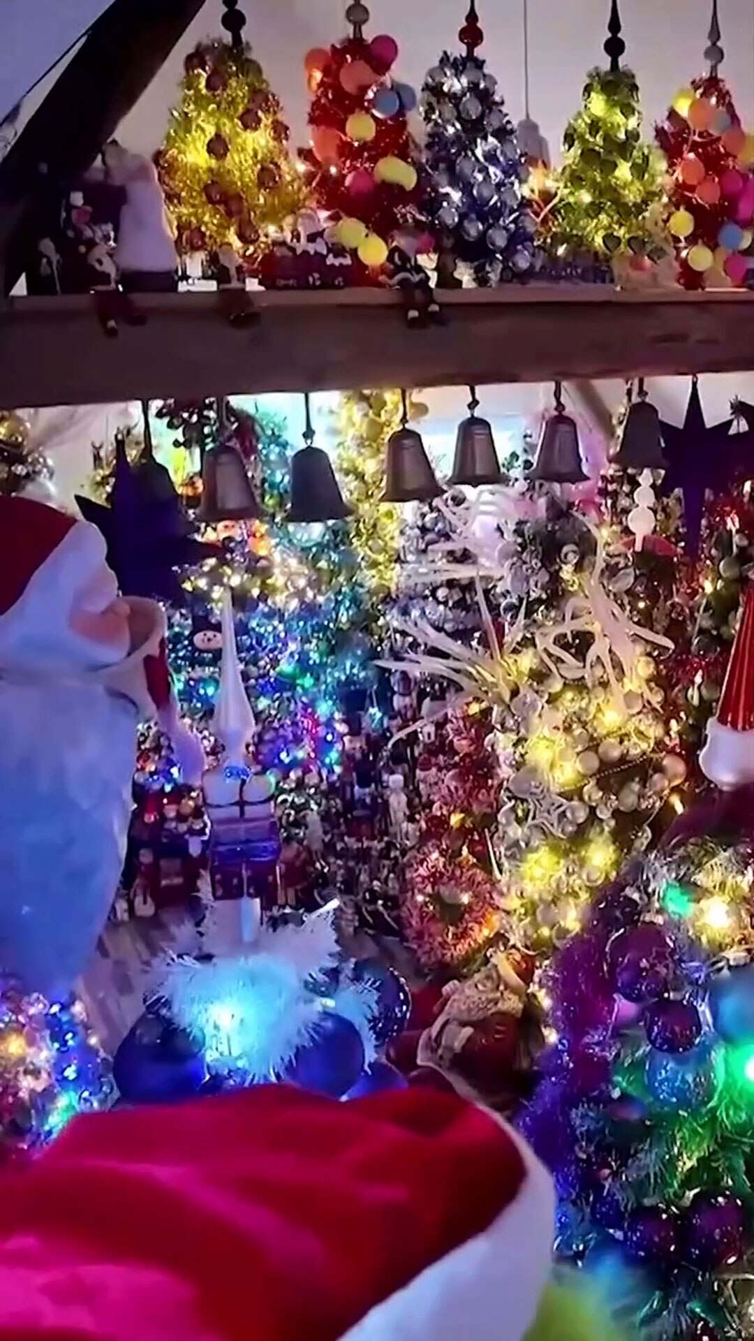 This home holds the world record for the most Christmas trees - ABC News