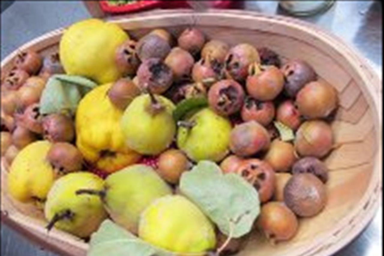 Sally Wise's Toffee Quinces - ABC News