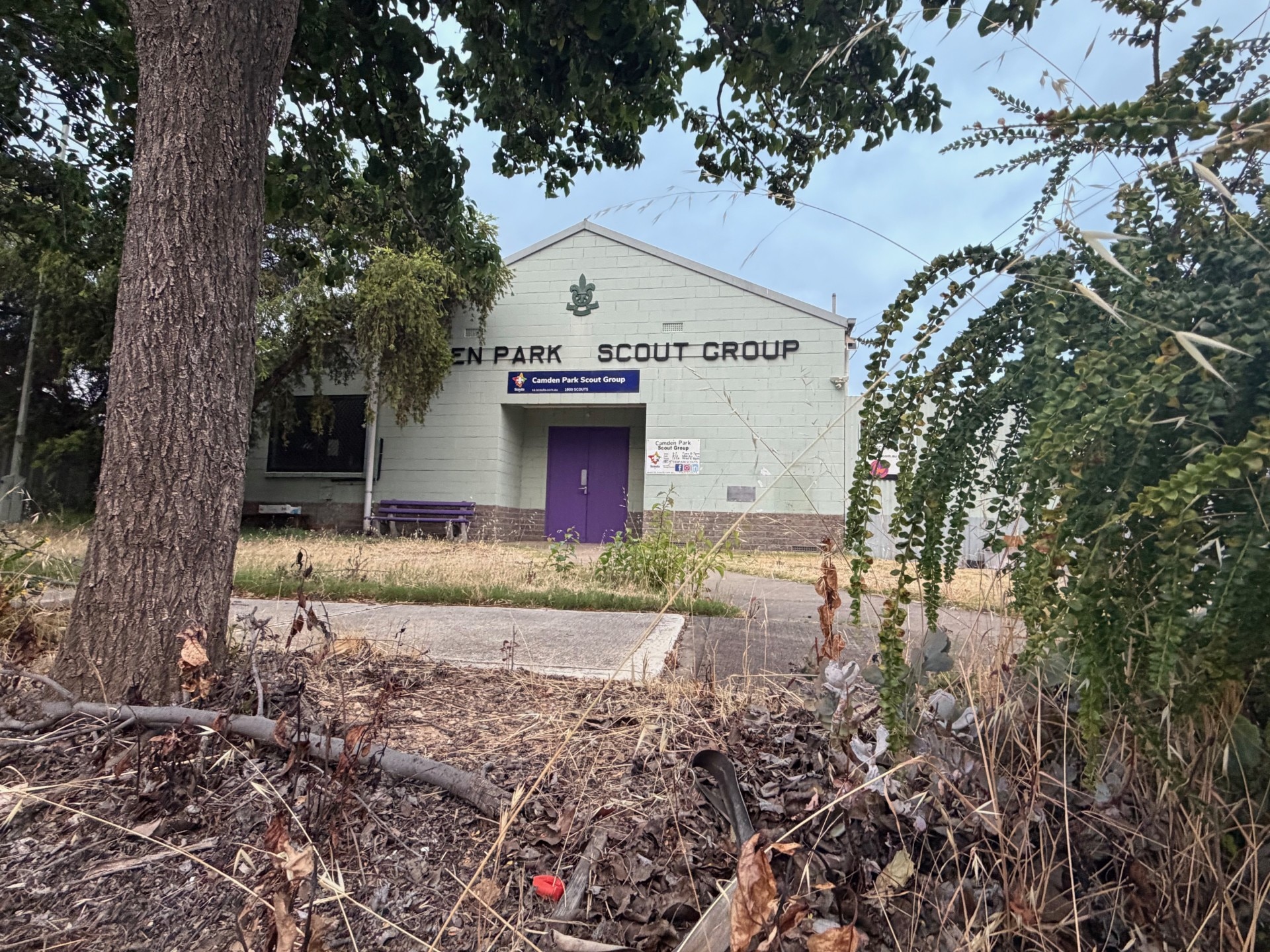 Scouts SA seek new model as 15 branches close across the state - ABC listen