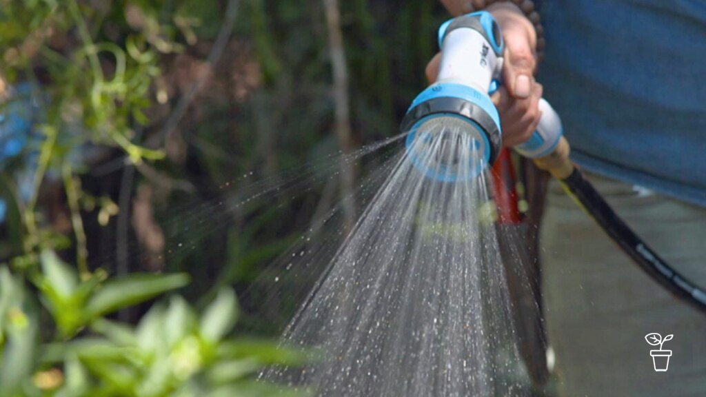Top Tip: Watering - Gardening Australia