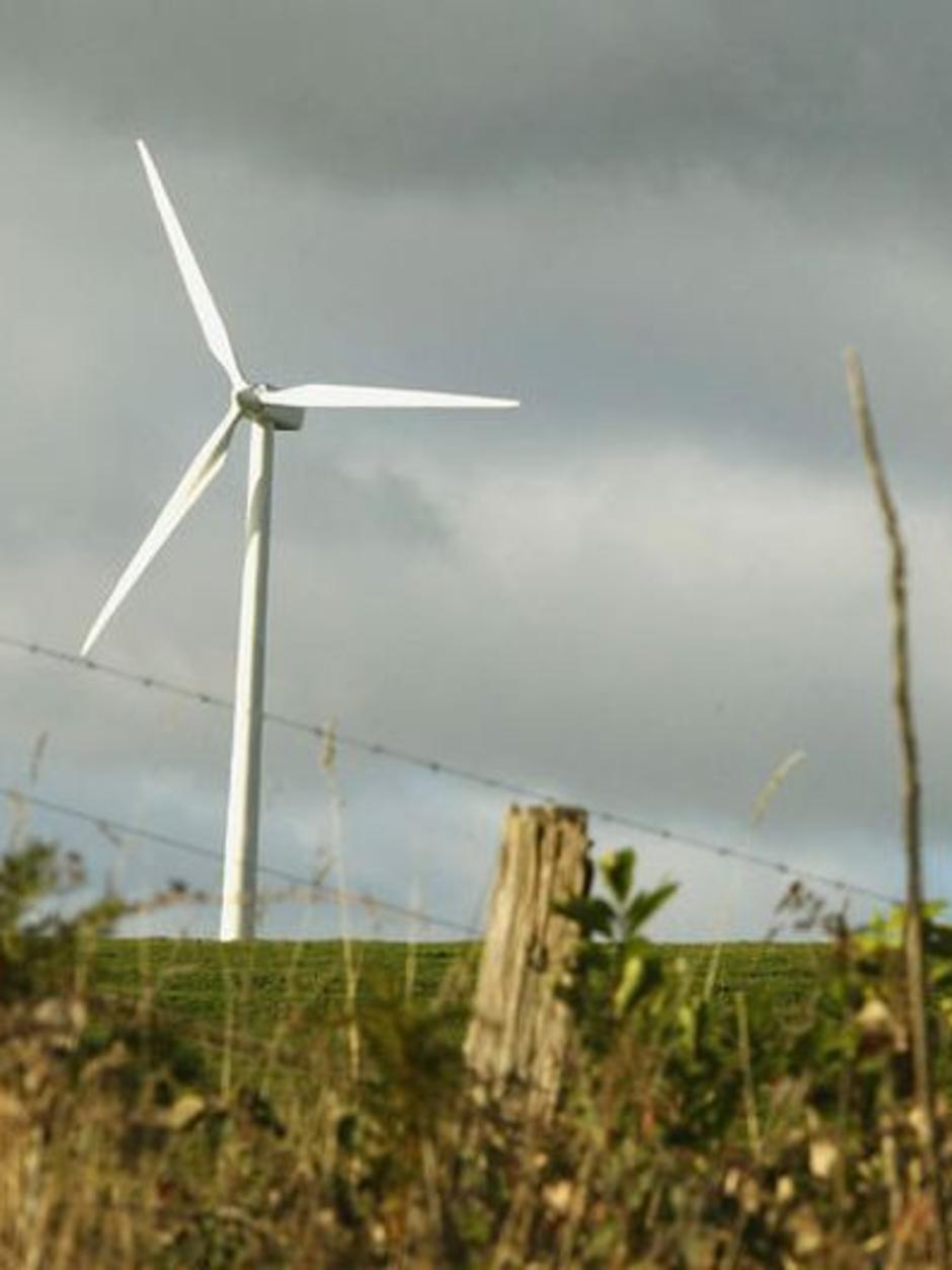 Against the Wind - ABC News