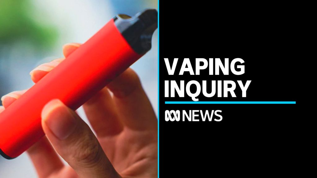 Queensland premier announces state Parliamentary inquiry into vaping ...