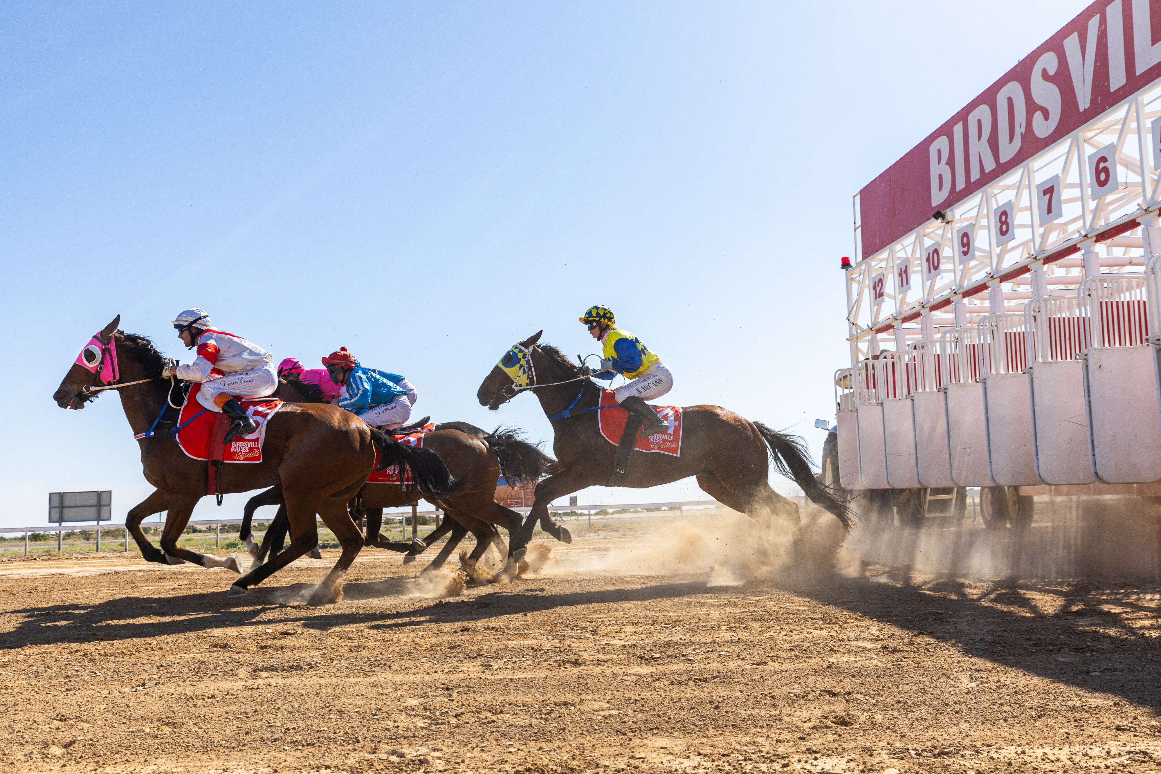 Birdsville Races still attracts crowd of colourful characters at edge ...
