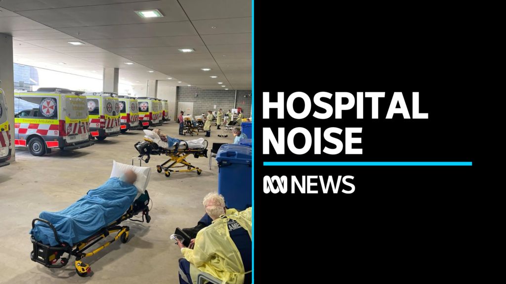 Top stories on ABC News - ABC News