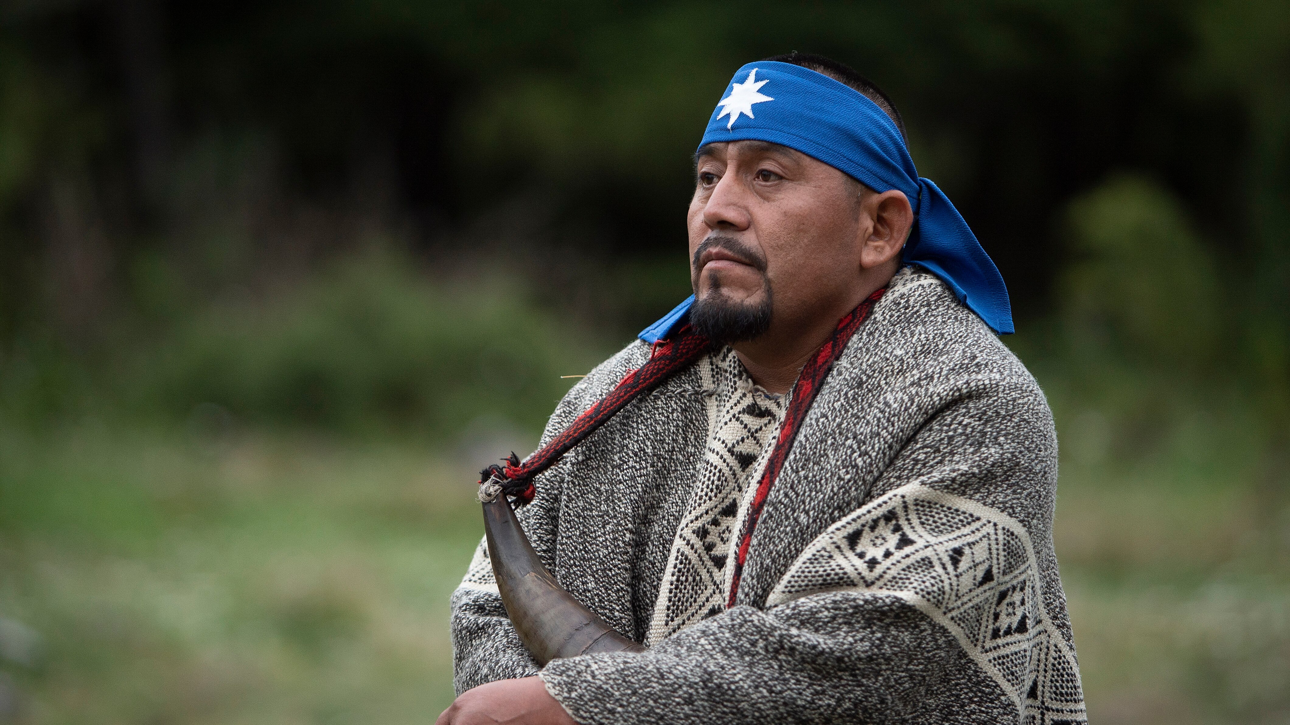 Chile's largest Indigenous group is fighting to take back what was lost ...