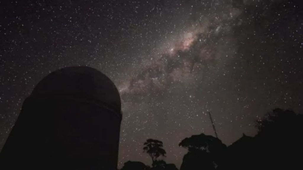 Light pollution disrupts migration patterns and confuses nocturnal ...