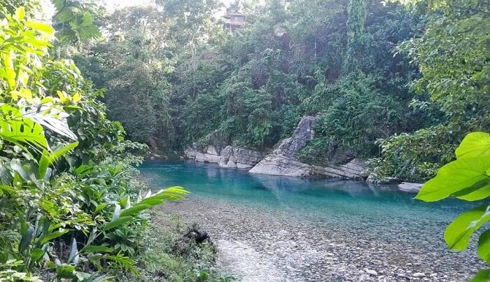 PNG Oposisen go long kot long VONC disisen - ABC Pacific