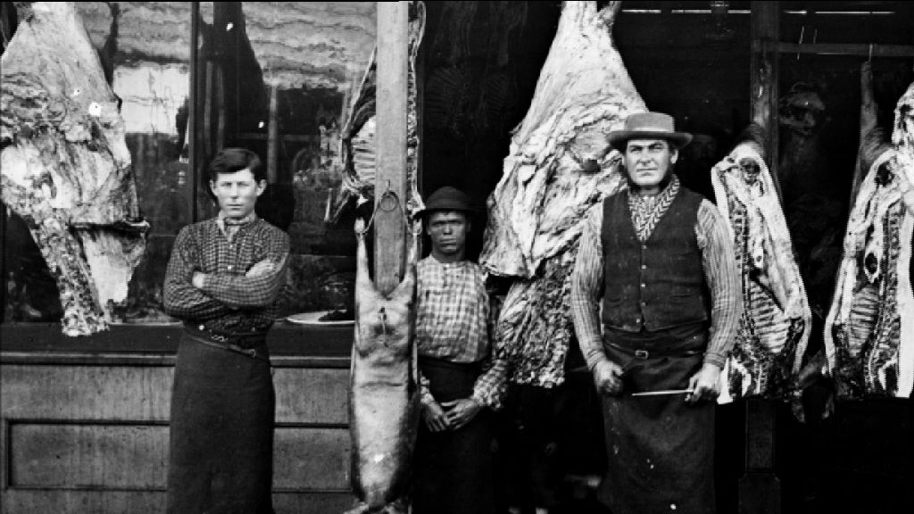 Holtermann Collection - ABC News