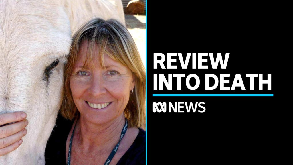 Independent review into murdered nurse's death - ABC News