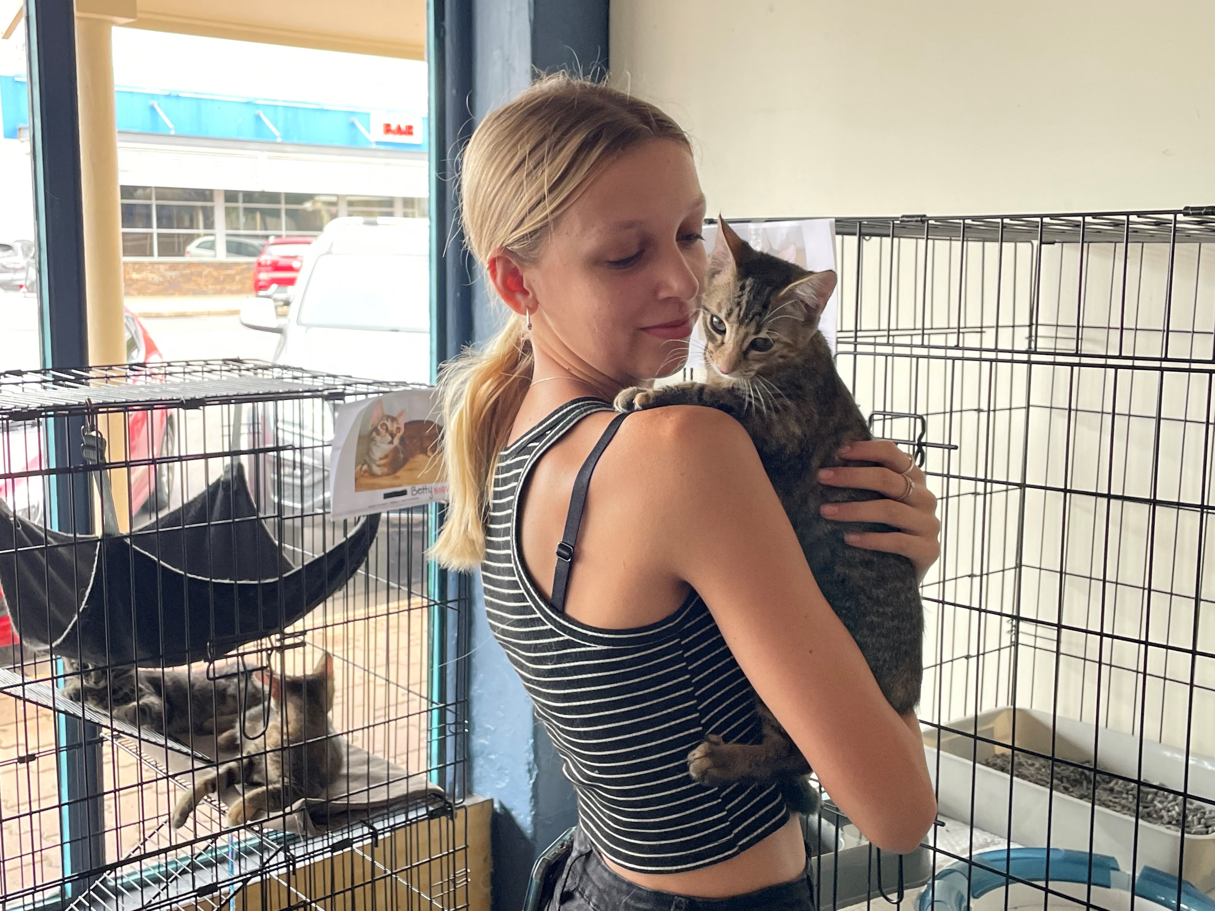 SA cat rescue volunteers urge owners to desex cats, surrender pets ...