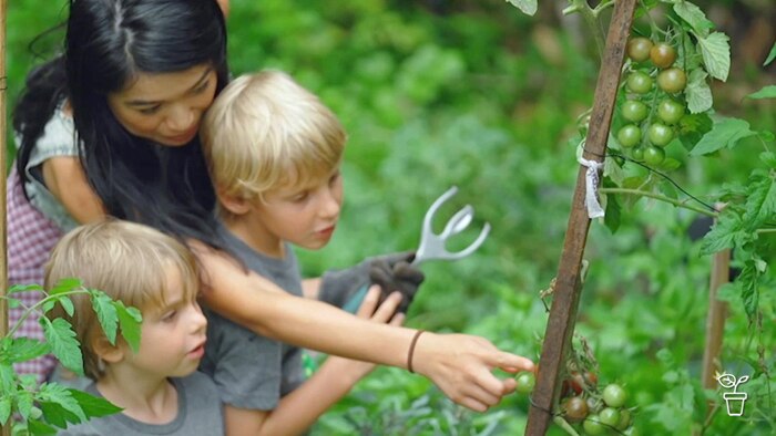 Hunter Helpers - Gardening Australia