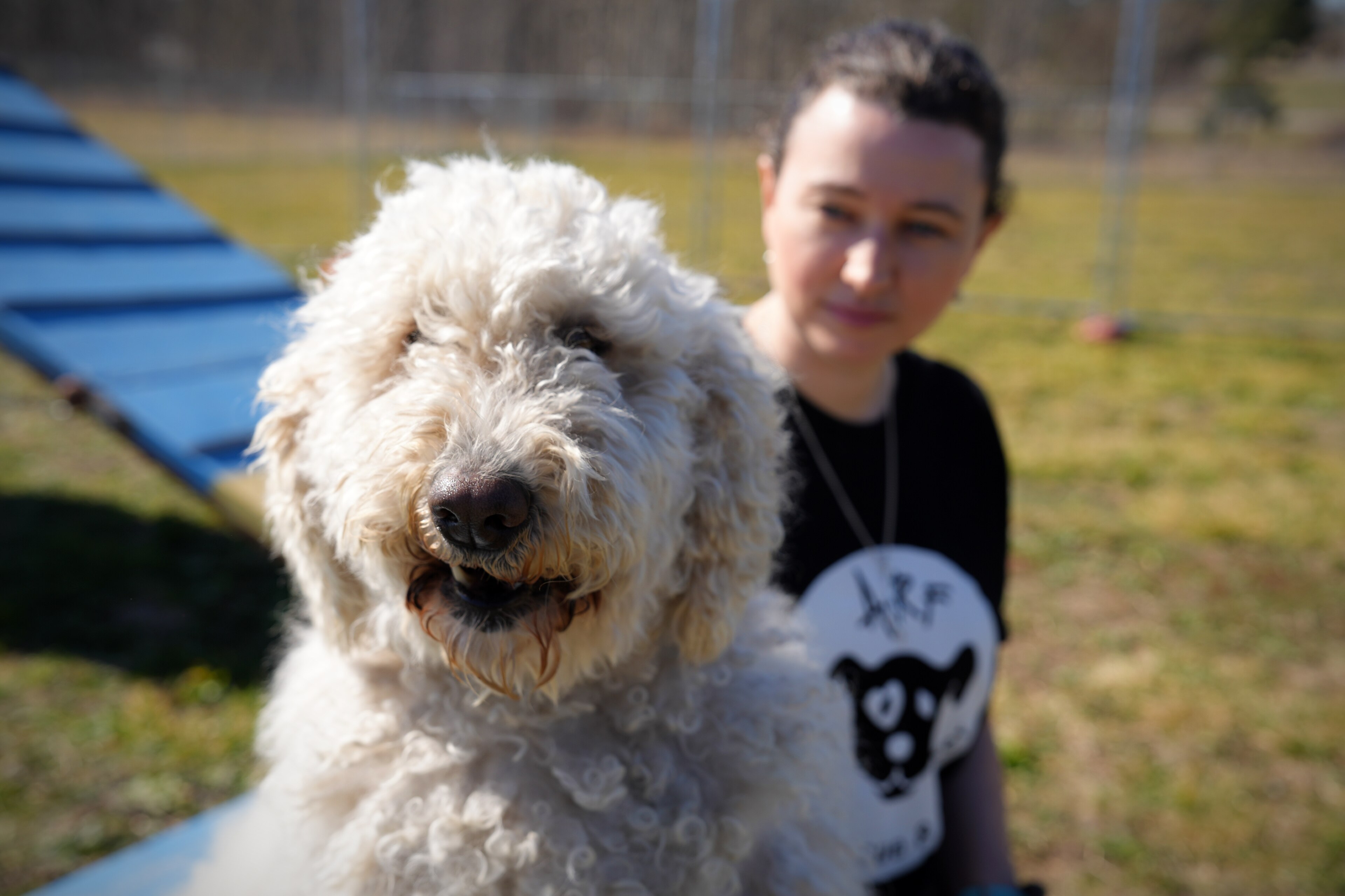 The 'XL Bully cat' is the latest internet-famous cat to stoke selective ...