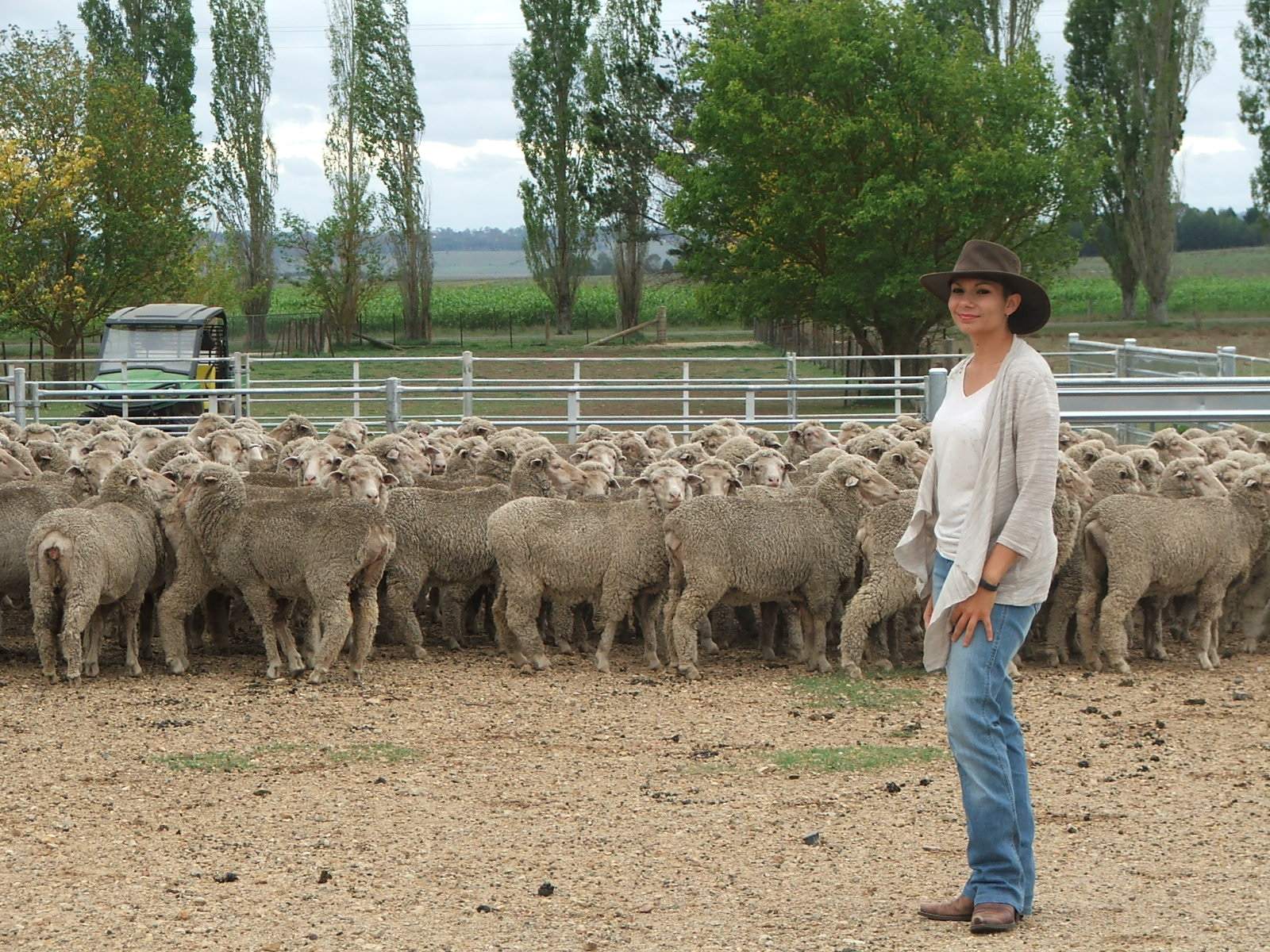 Teaching sheep to take their own medicine - ABC News