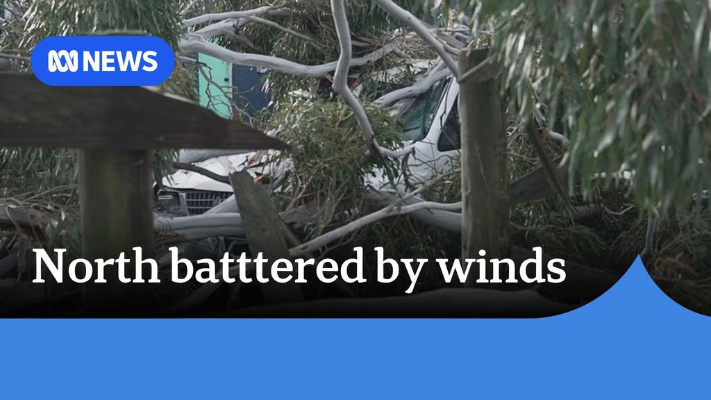 News From Tasmania : ABC iview