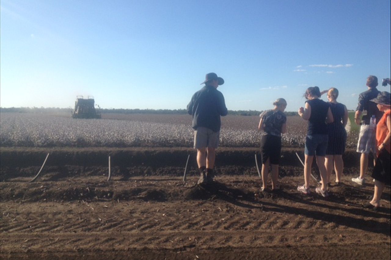 Teachers cotton on to cotton - ABC News