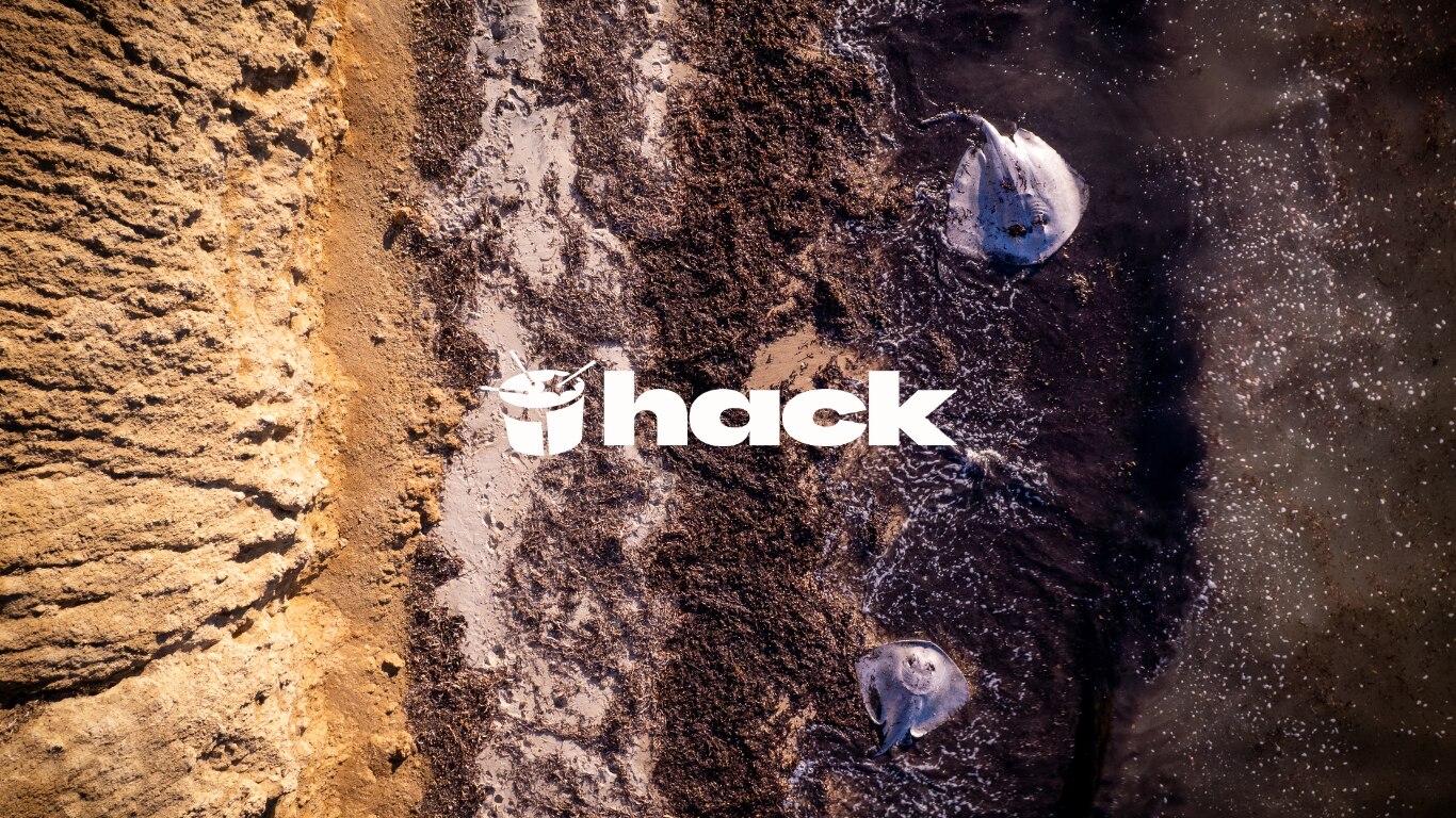 Hack with Dave Marchese - triple j