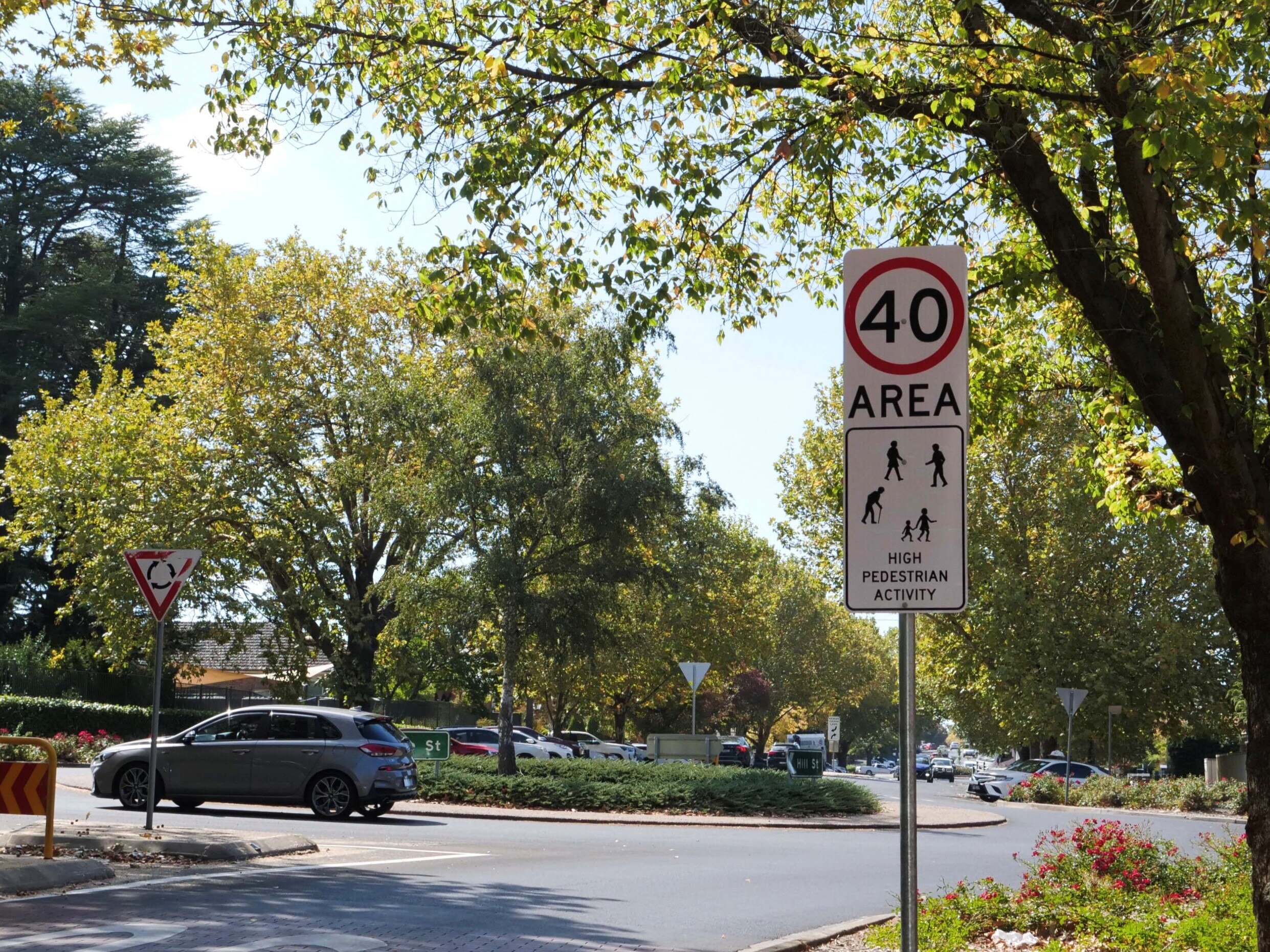 Childhood car accident fuels Orange-Cabonne road safety officer's fight ...