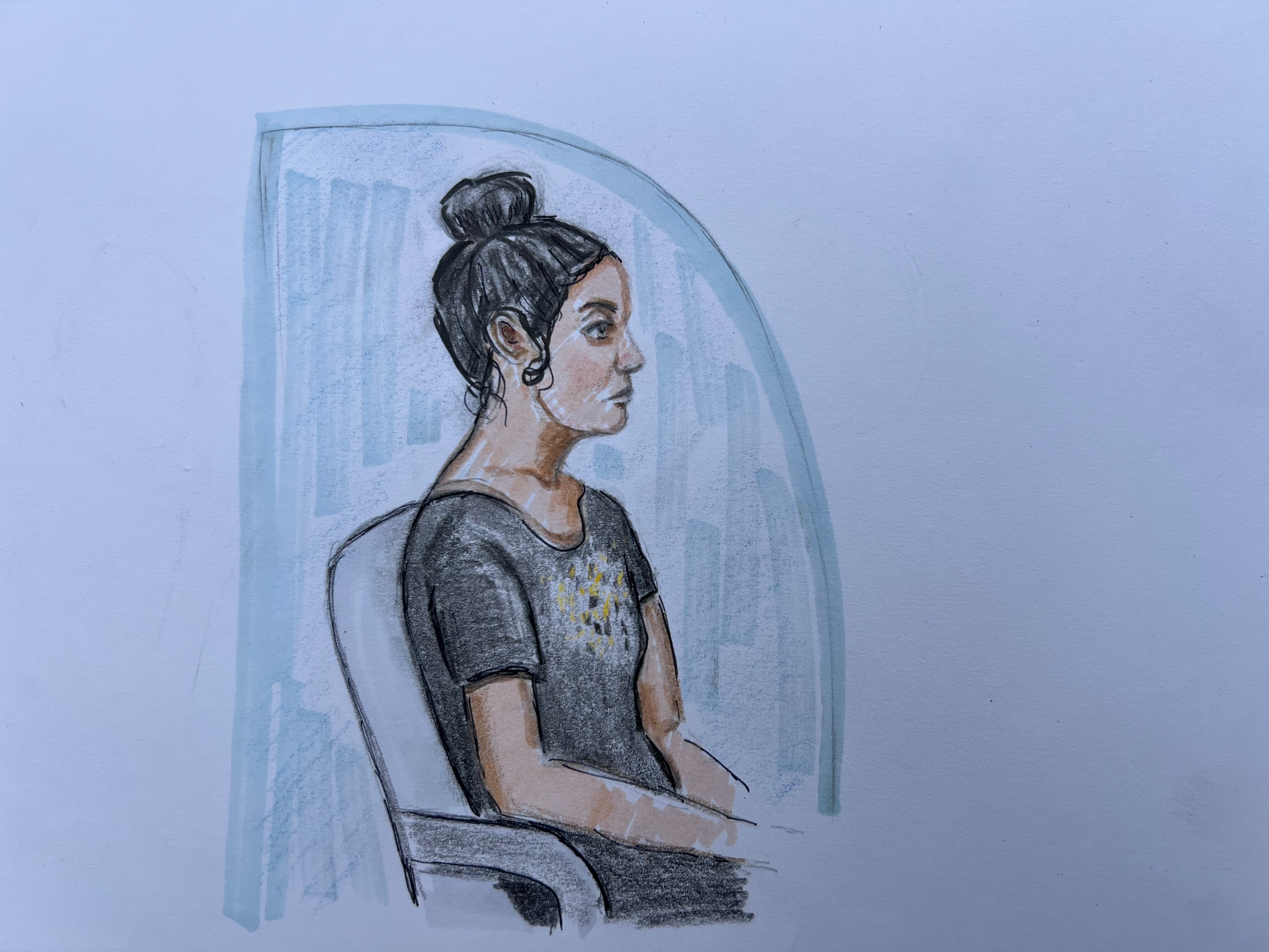 Isabella Aneta Cisarova sentenced to nine years for attempted box ...