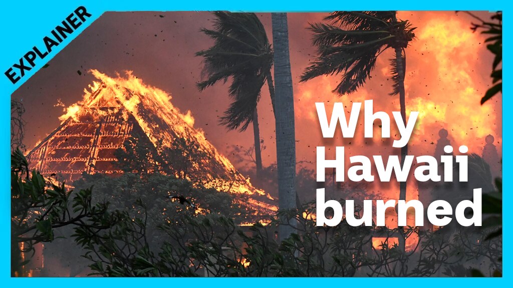 Researchers have captured video of malaria parasites trying to invade ...