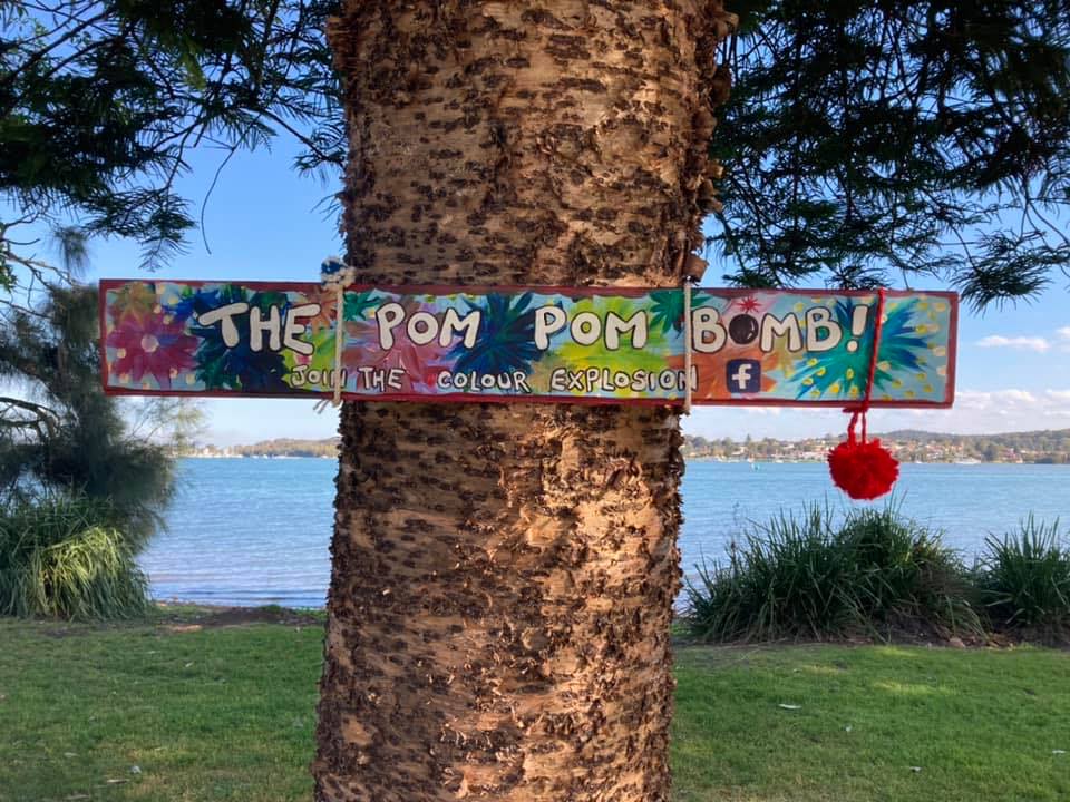 Pom pom bombs are filling trees around the Hunter. Here's why. - ABC listen