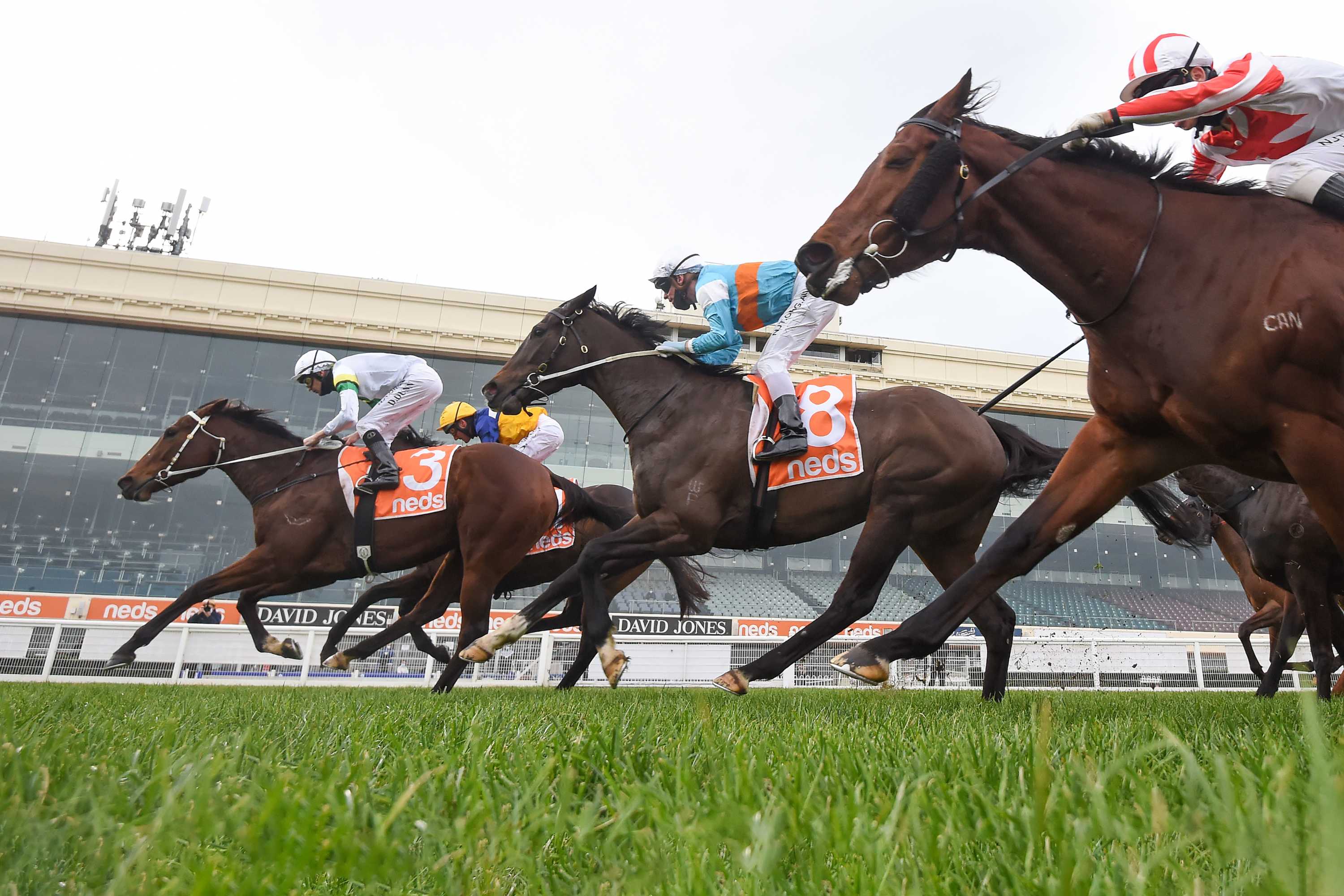 Racing has kept going against the odds amid COVID-19, but what will the ...